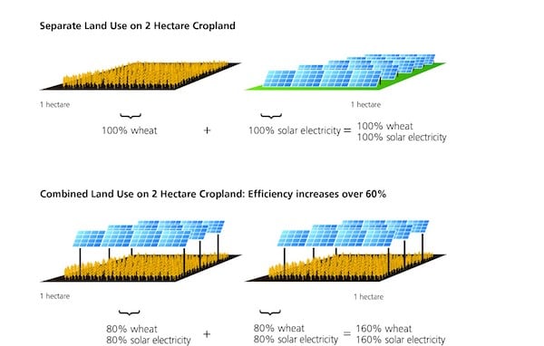 Agrivoltaico: la convivenza tra agricoltura e fotovoltaico